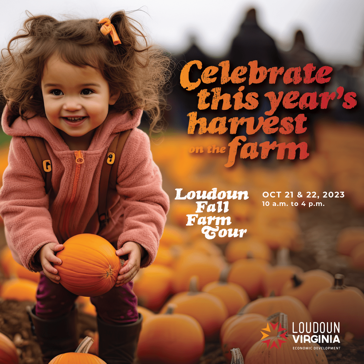EVENT: Loudoun Fall Farm Tour '23 – The Hamilton Mercantile